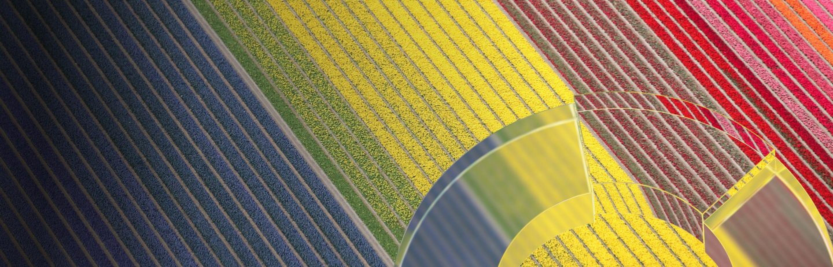 Diversity, Equity and Inclusion | J.P. Morgan Asset Management