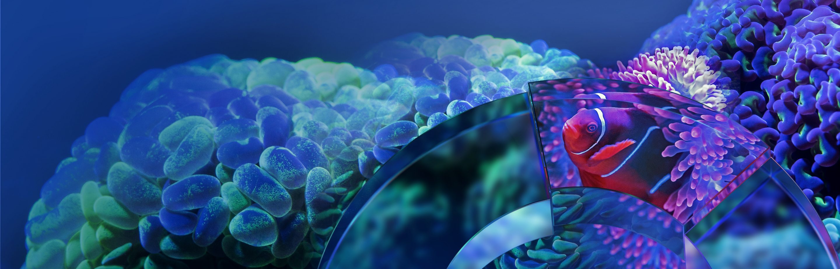 The search for income | J.P. Morgan Asset Management