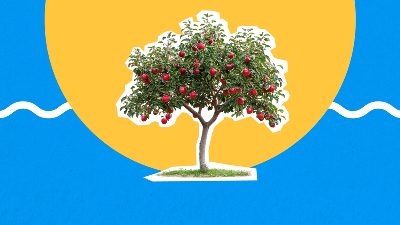 Equity Premium Income simplified | J.P. Morgan Asset Management