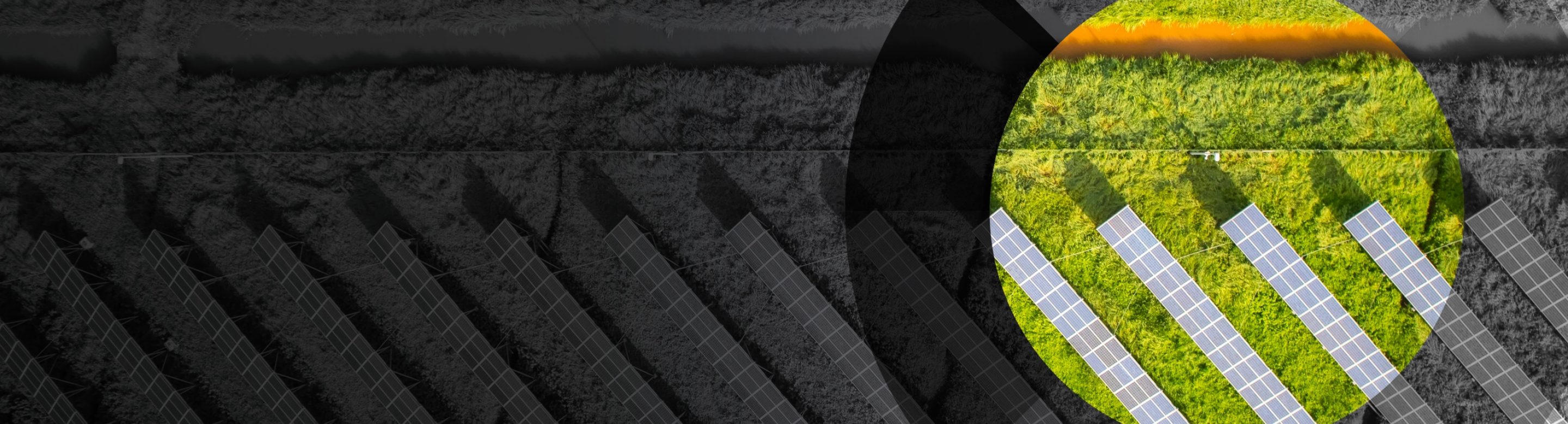 ESG Outlook 2022: The future of ESG investing | J.P. Morgan Asset ...